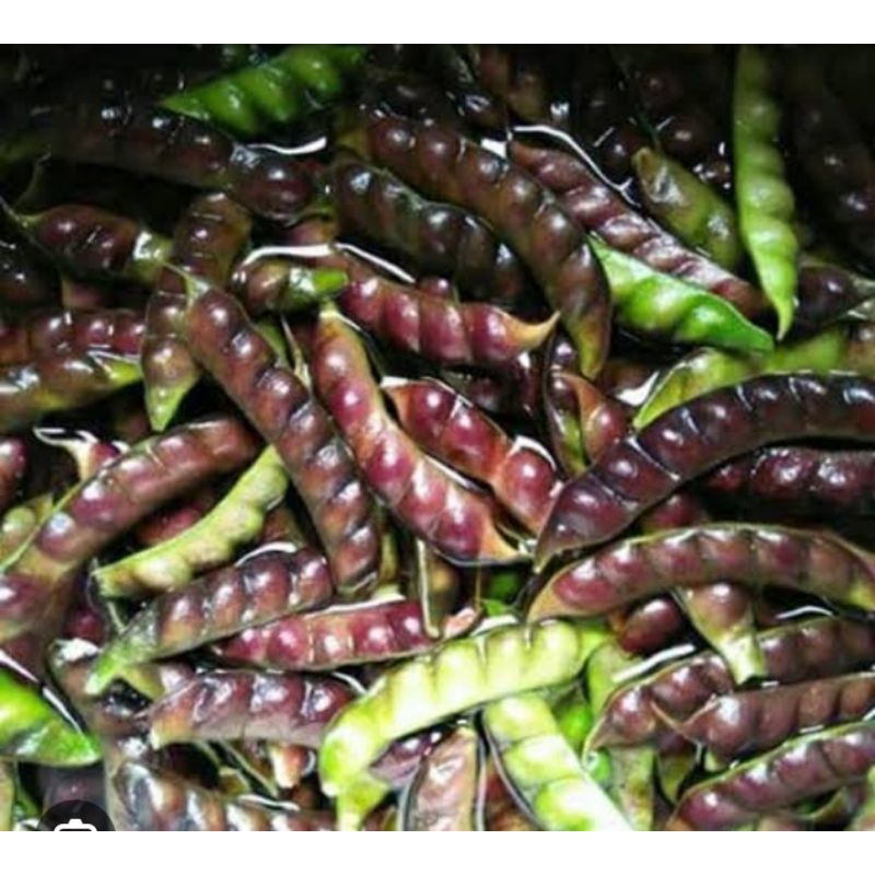 Jual kacang gude hitam / undis kering kemasan 200g | Shopee Indonesia