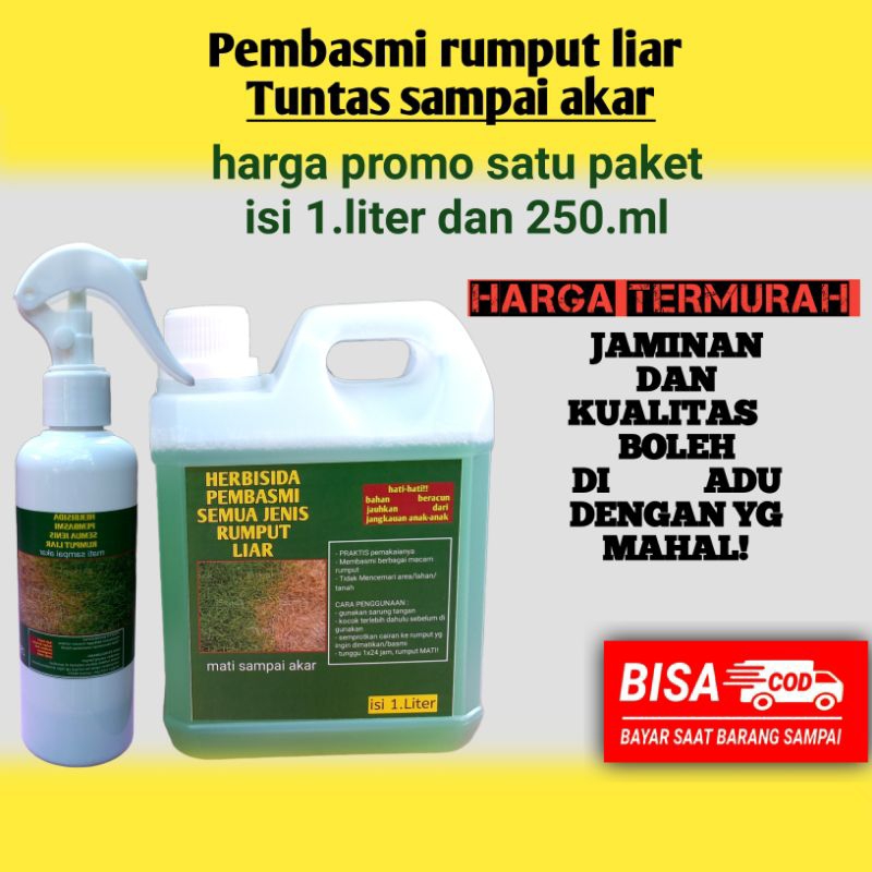 Jual Pembasmi Rumput Liar HERBISIDA ampuh semprot pagi sore bisa kering ...