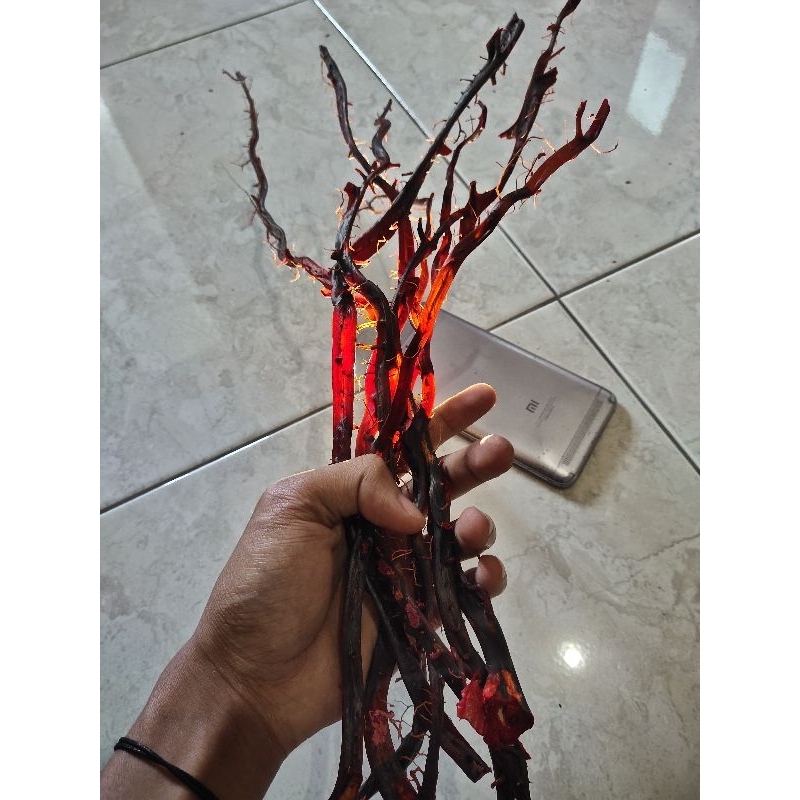 Jual BAHAN AKAR BAHAR MERAH 1 IKAT SIZE KANTORAN | Shopee Indonesia
