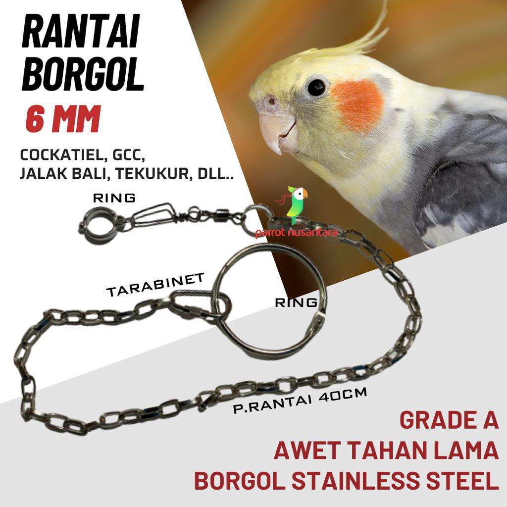 Jual 1 set rantai dan borgol burung falk parkit australia | Shopee ...