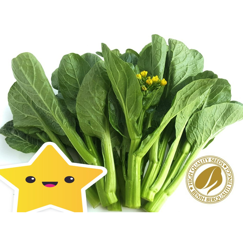 Jual Caisim Sawi Manis Choy Sum Chinese Flower Cabbage 500 gr | Shopee ...