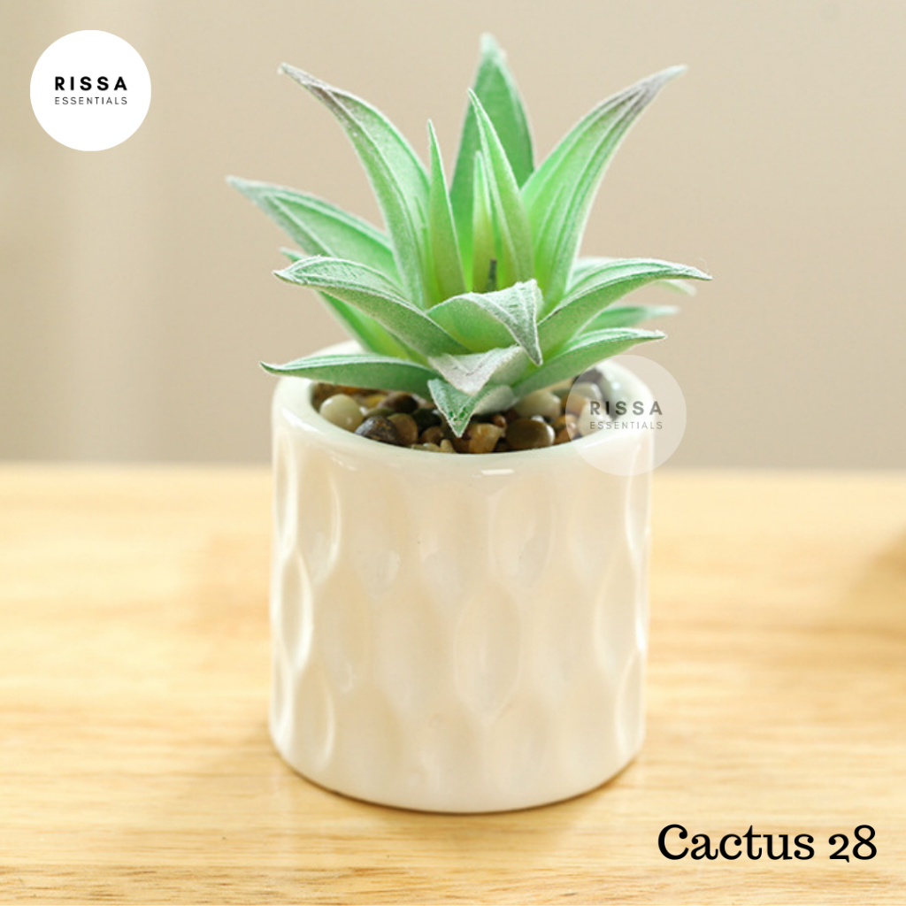 Jual [RISSA] Mini Kaktus Sintetis Cactus Palsu Kecil Tanaman Pot Palsu ...