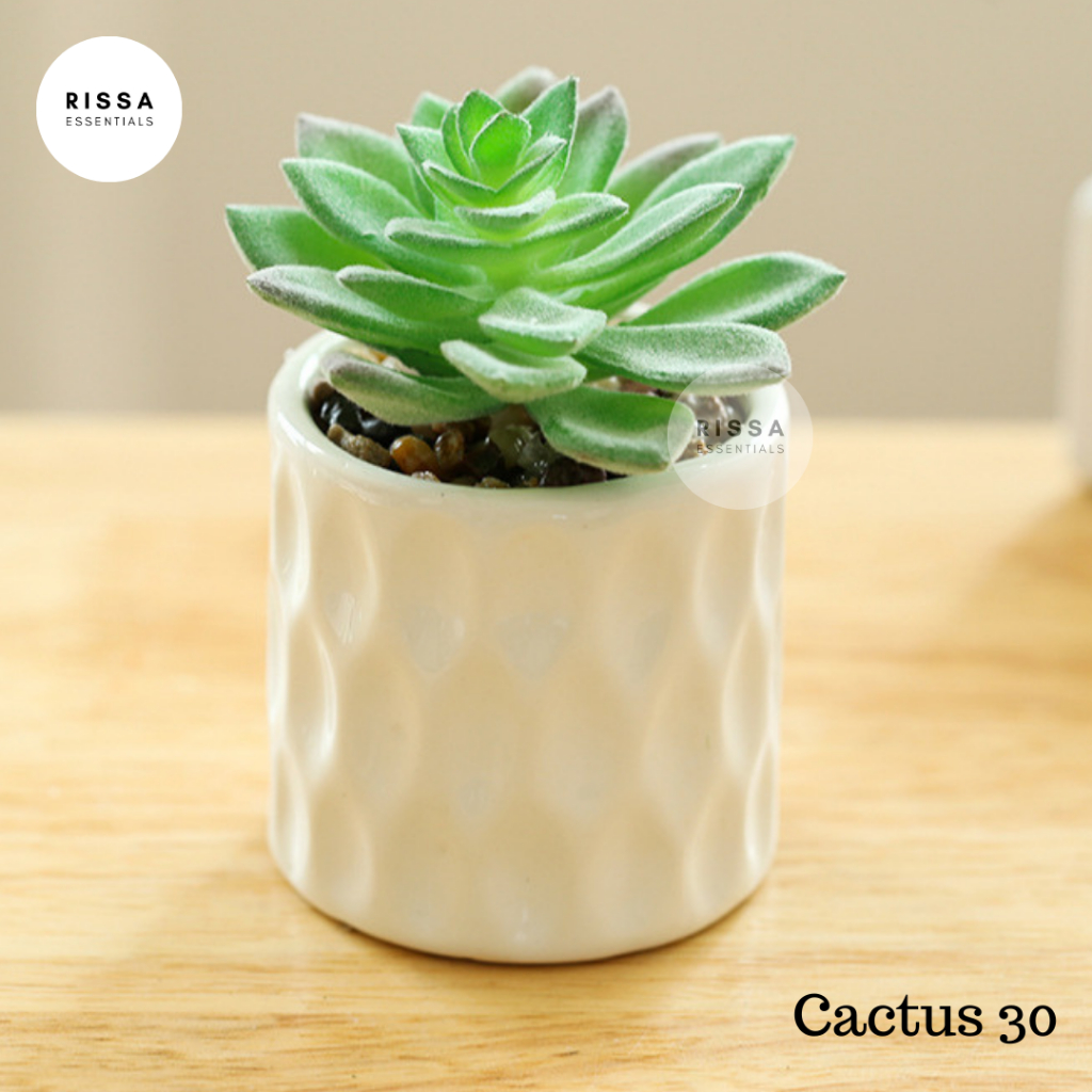 Jual [RISSA] Mini Kaktus Sintetis Cactus Palsu Kecil Tanaman Pot Palsu ...