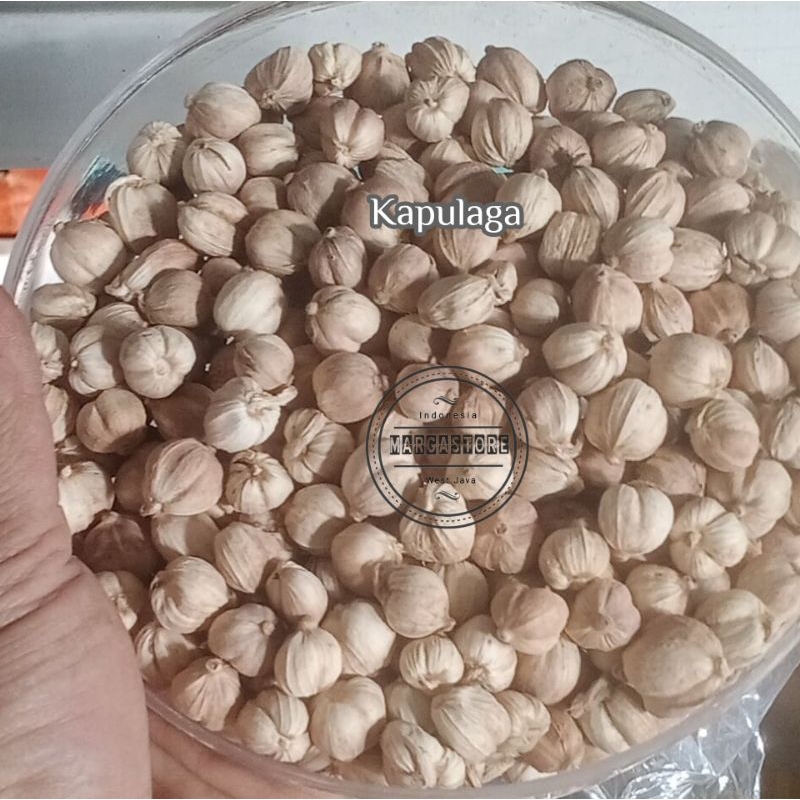 Jual Kapulaga 1kg Kapolaga Kapulaga Jawa | Shopee Indonesia