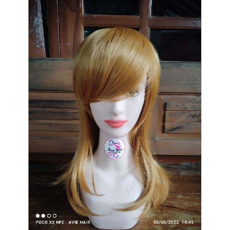 Jual Wig Pria wolf tail Rambut Palsu Mulllet warna pirang | Shopee ...