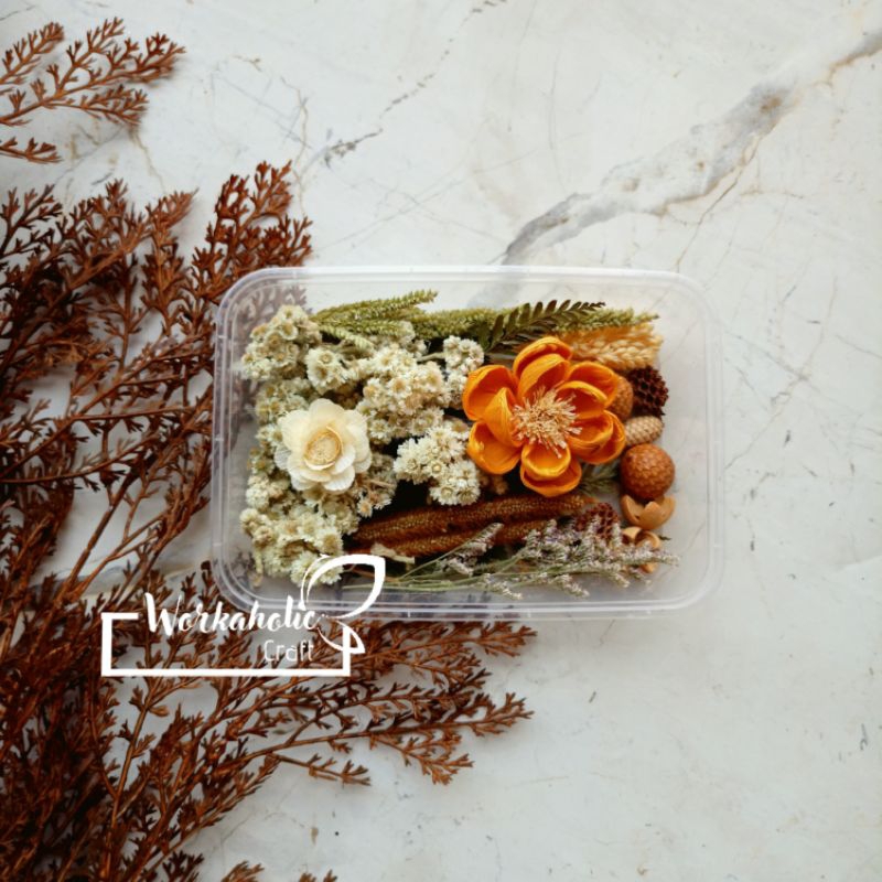 Jual Paket Bunga Kering Mix Hemat Bunga Klobot Lontar Bahan Dekorasi