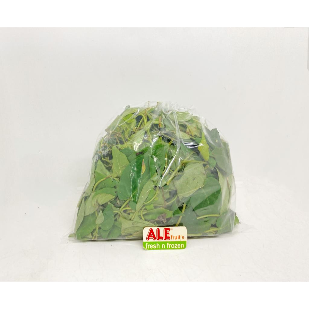 Jual Daun simbukan fresh, daun kentut/daun sembukan segar, daun ...