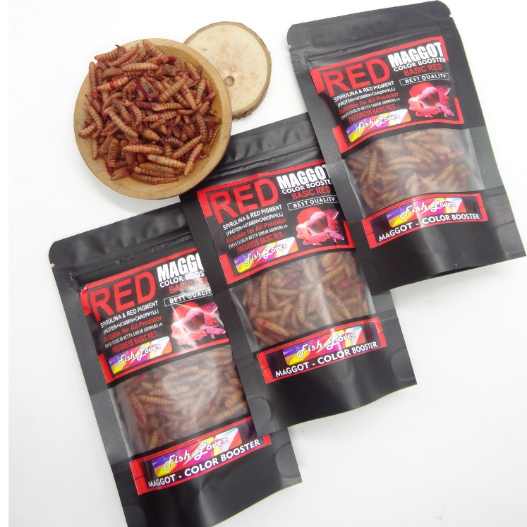 Jual Red Maggot Fishlover | Shopee Indonesia