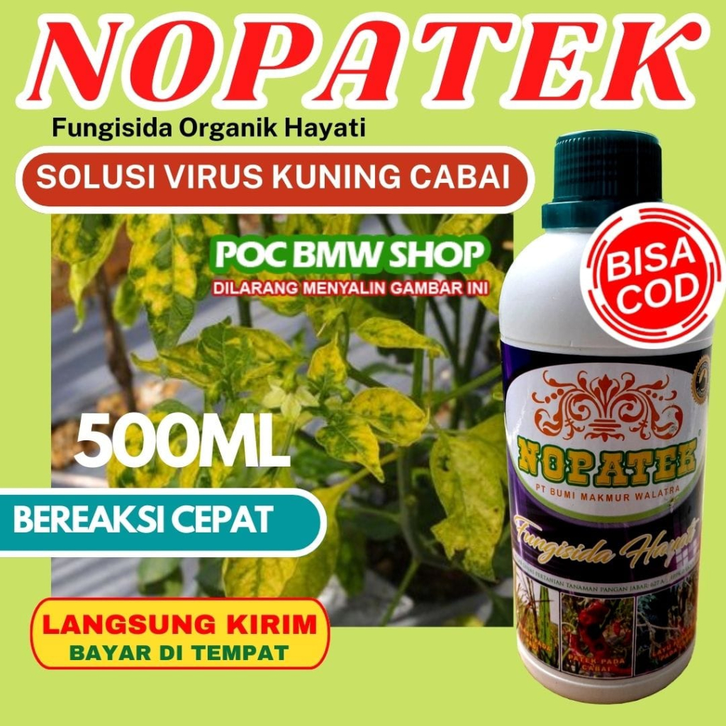 Jual NOPATEK OBAT VIRUS KUNING GEMINI CABE TOMAT PALING AMPUH Fungisida ...