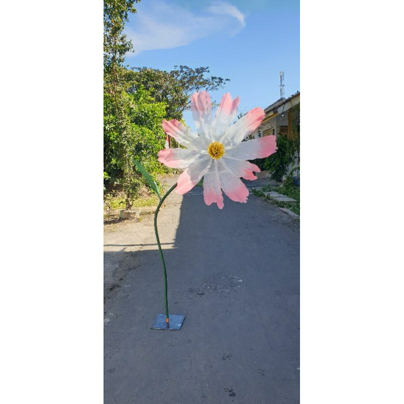 Jual Giant Flower Cosmos / Kenikir Bunga Hiasan Kain Organza Kelopak ...