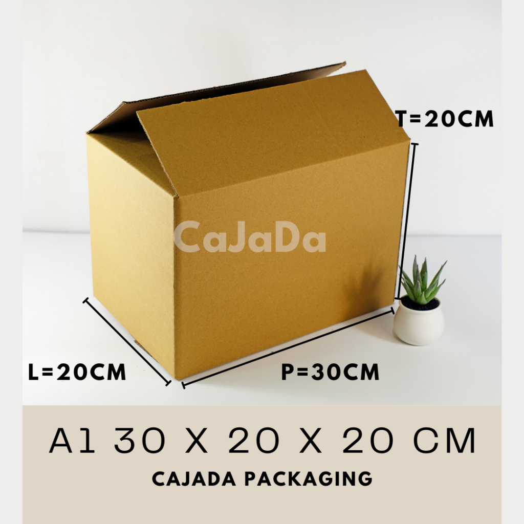 Jual Karton Box Baru 30x20x20 cm Kardus Polos Kotak Packing | Shopee ...