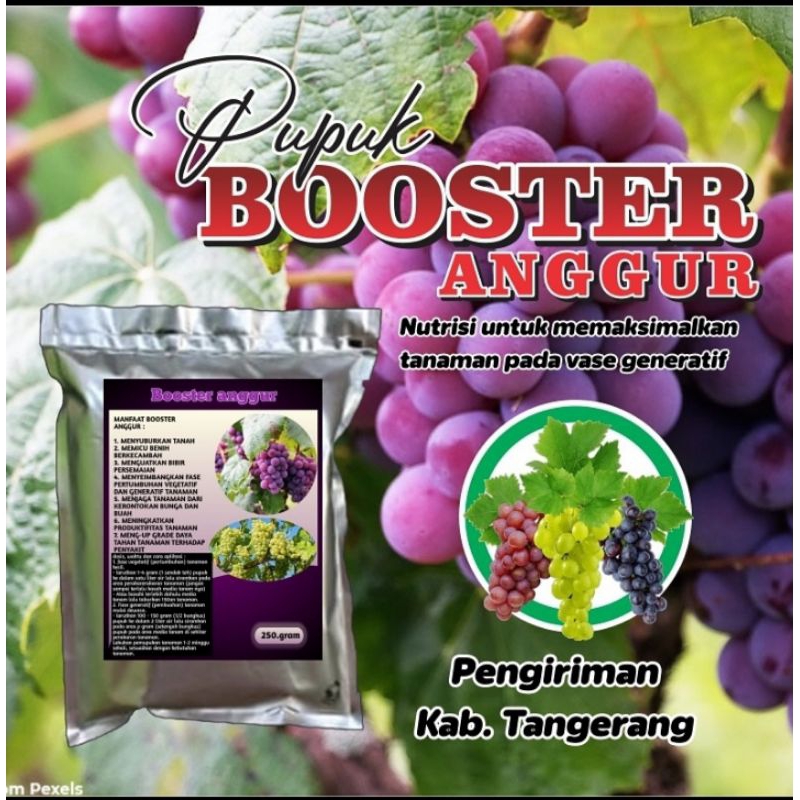 Jual Pupuk Booster Anggur perangsang bunga dan pelebat buah anti rontok 250 gram | Shopee Indonesia