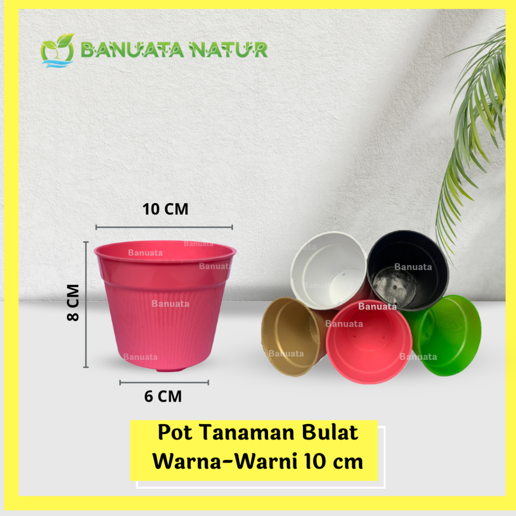 Jual POT TANAMAN BULAT 10CM TIDAK BERLUBANG WARNA-WARNI BERKUALITAS ...