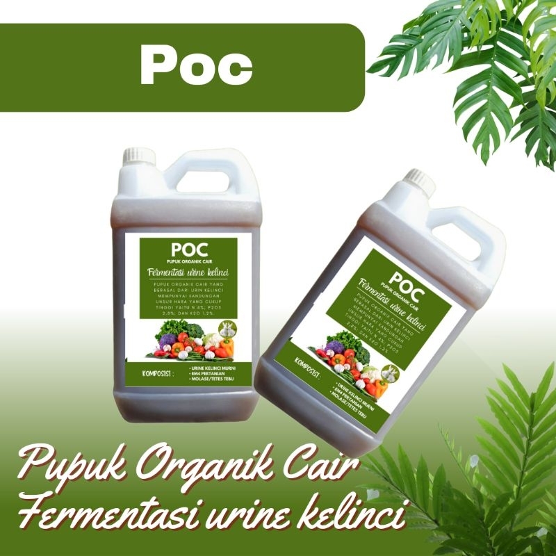 Jual POC Urine Kelinci Fermentasi Buat Pertanian 5 Liter | Shopee Indonesia