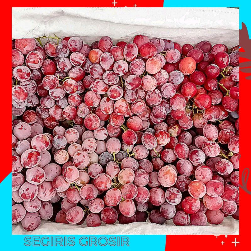 Jual Buah Anggur segar 1 Kg | Shopee Indonesia