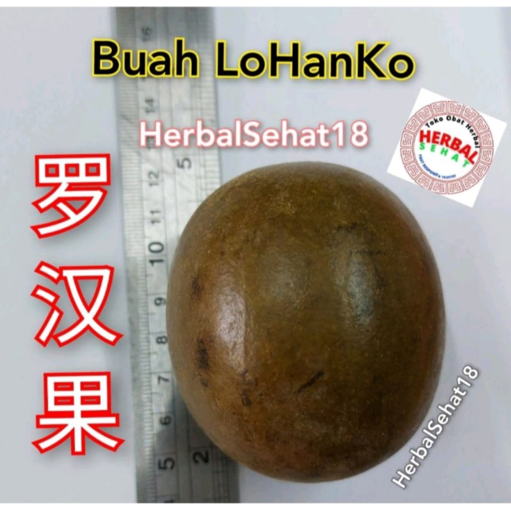 Jual 1 Buah Lo Han Ko Lohanguo / Lo Han Guo / Lohankuo Lo Han Kuo ...