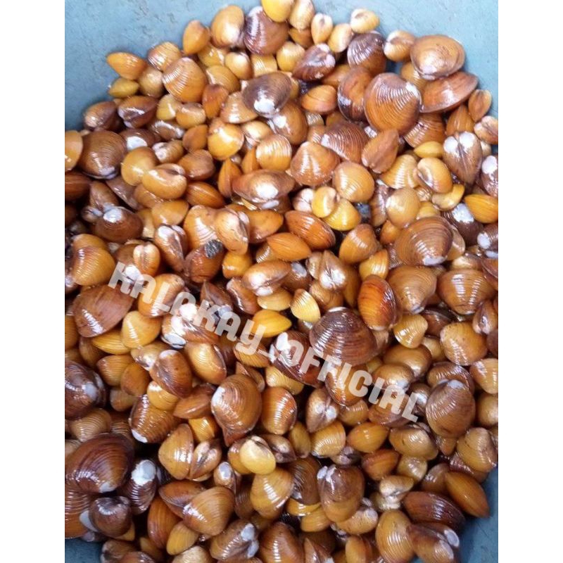 Jual Remis laya, Haremis sungai obat herbal 1kg | Shopee Indonesia