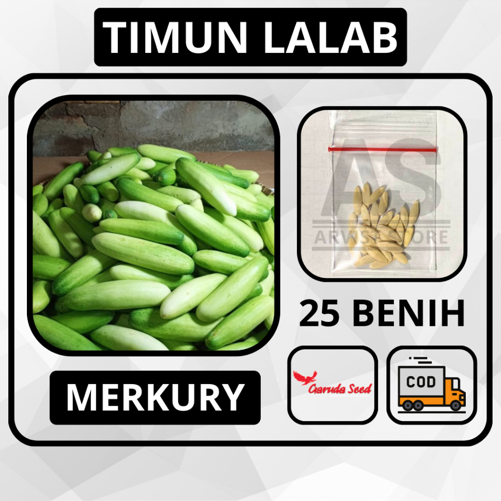 Jual 25 Biji - Benih Timun Lalap MERKURY Lalab Bonteng Mentimun Garuda ...