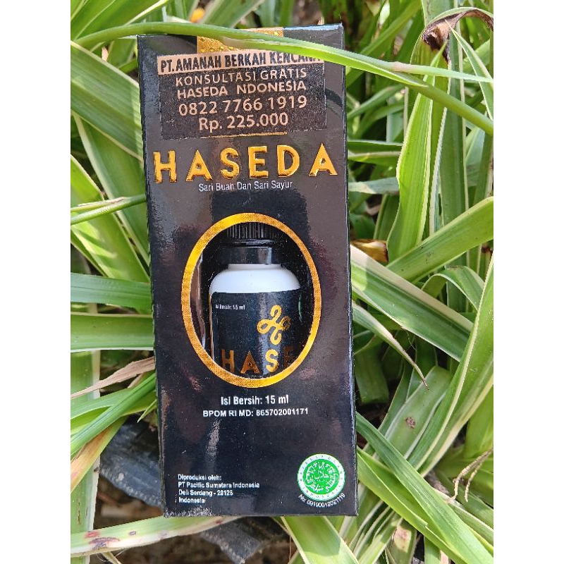 Jual Haseda Khusus Apotik 1Box Isi 10pcs | Shopee Indonesia