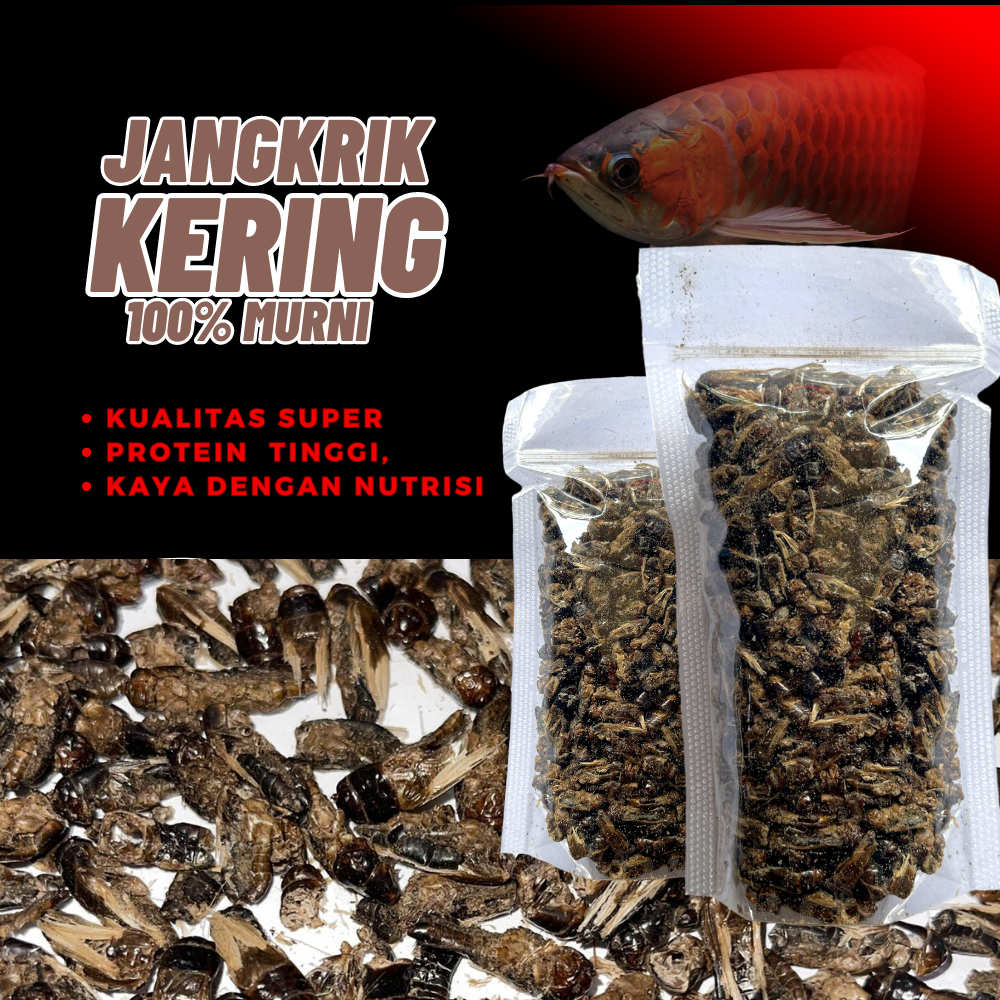 Jual Jangkrik kering 100 gram kualitas unggul dan FRESH produksi ...