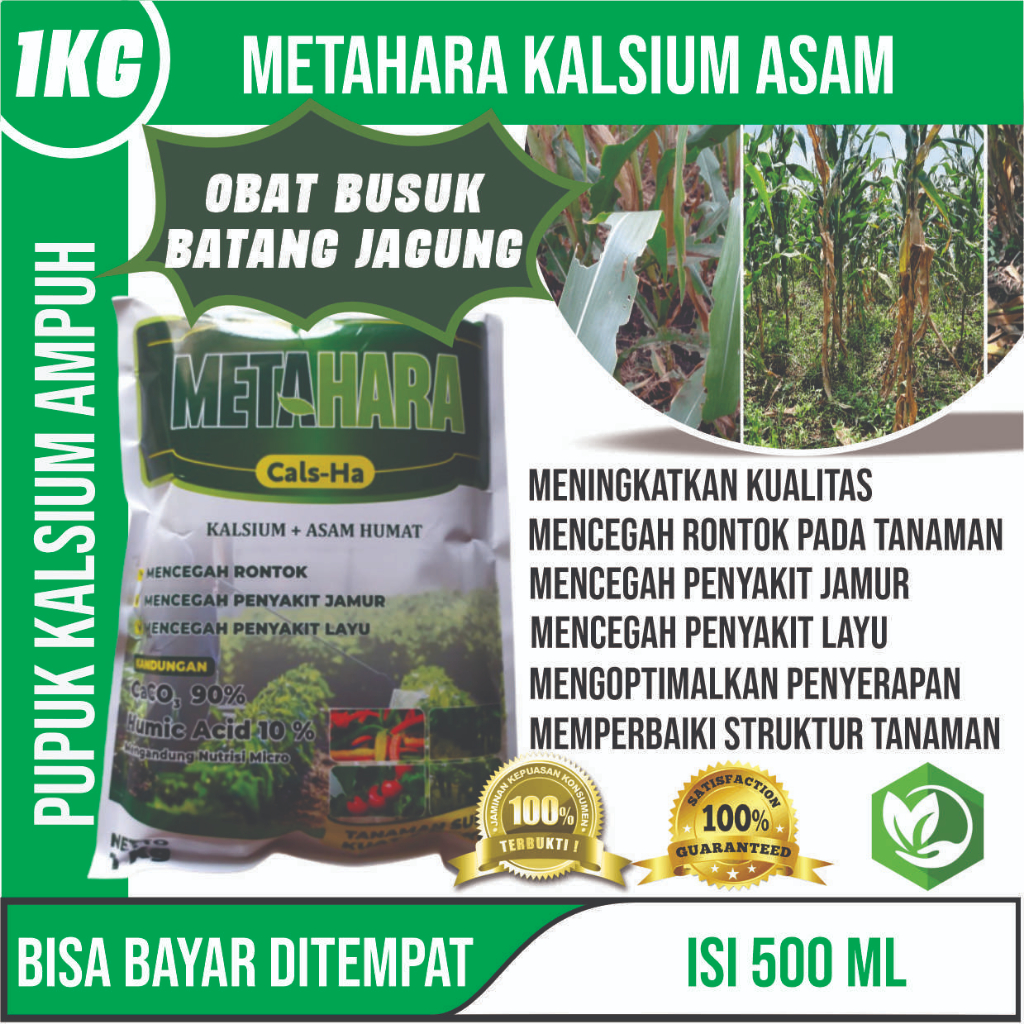 Jual Pupuk Kalsium METAHARA 1 Kg Obat Atasi Bulai Jagung Obat ...