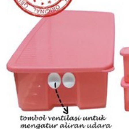 Jual Tupperware Fridgesmart Rectangular 2L Guava | Shopee Indonesia