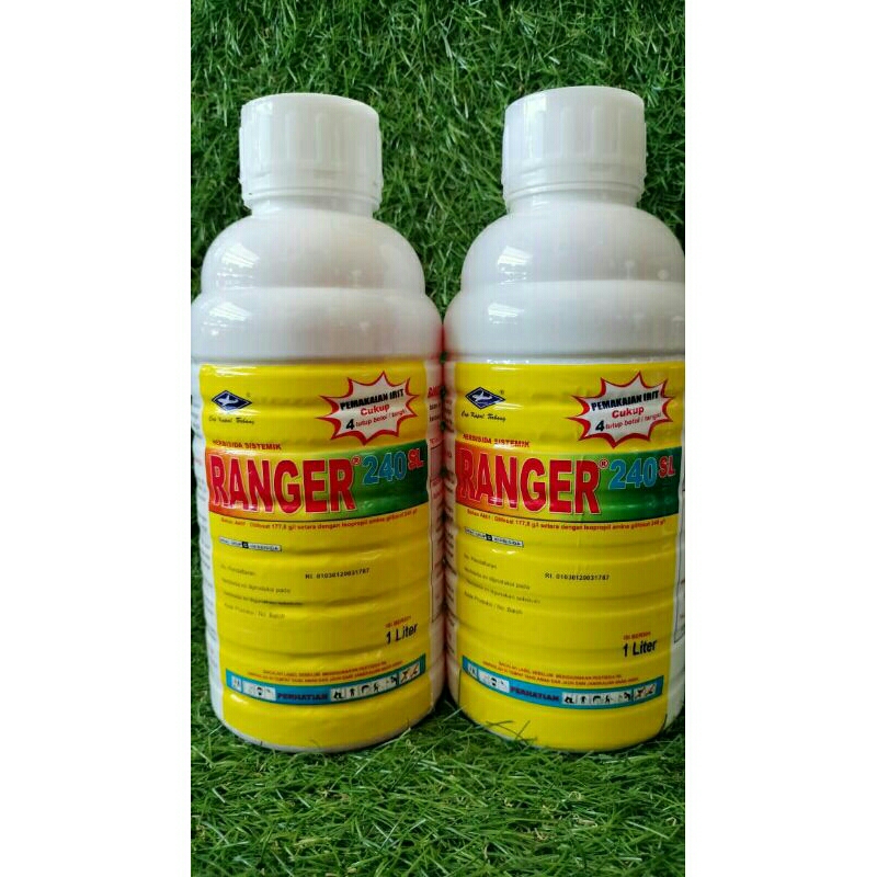 Jual RANGER_240SL/ 1 ltr_herbisida sistemik/obat rumput/racun rumput ...