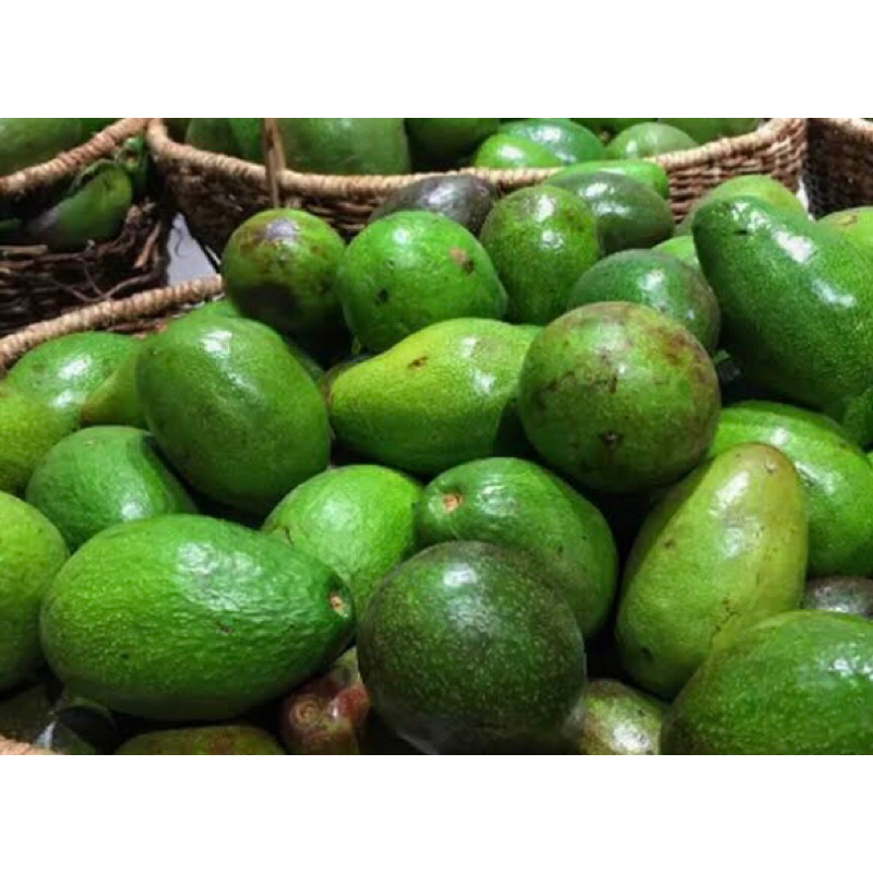 Jual ALPUKAT FRESH 1kg | Shopee Indonesia