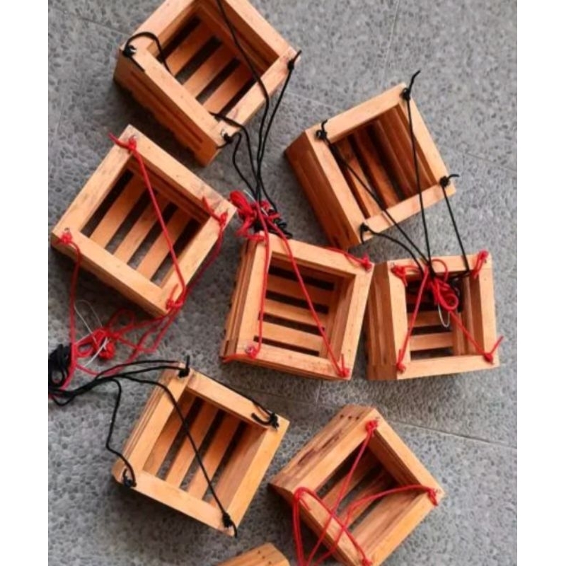 Jual paket 2 pot gantung anggrek kayu | Shopee Indonesia