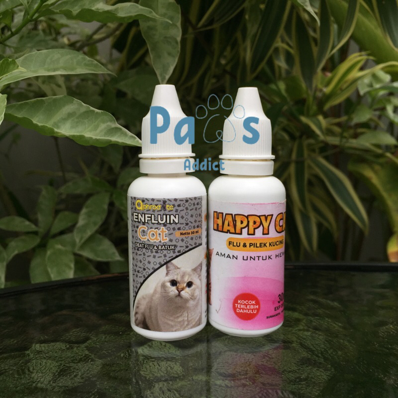 Jual Obat Flu dan Pilek Kucing Terbaik Anti Bersin dan Ingusan Paling ...