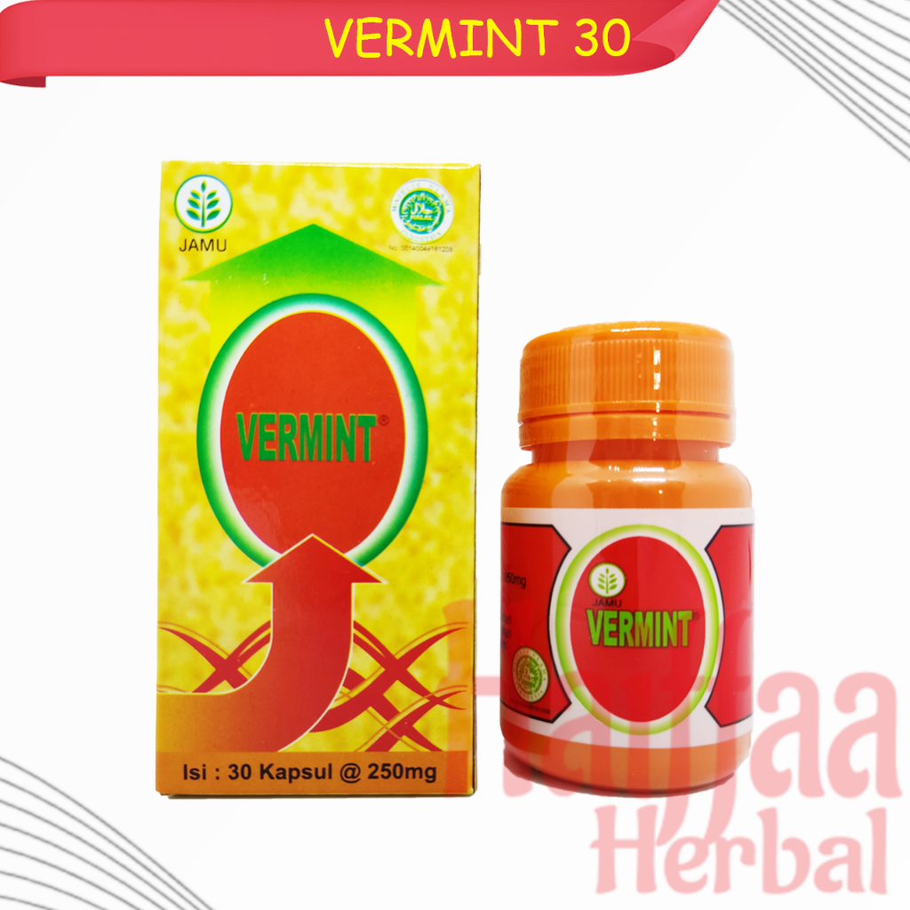 Jual Vermint 30 Kapsul Ekstrak Cacing Obat Demam Tipes / Tifus / Typhus ...