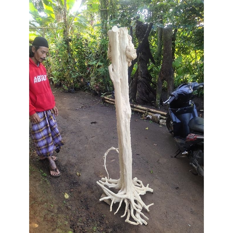 Jual batng kayu buat hiasanan | Shopee Indonesia