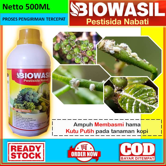 Jual OBAT ANTI HAMA KUTU PUTIH UNTUK TANAMAN KOPI [BIOWASIL] Obat Cair ...