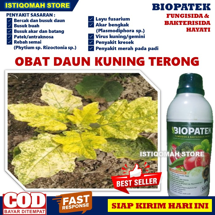Jual Obat Daun Kuning Terong Ungu BIOPATEK 500ML Fungisida Bakterisida Hayati Obat Semprot Daun ...