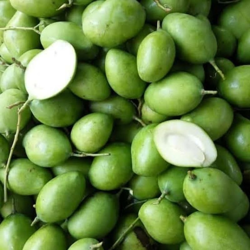 Jual Buah Mangga Muda 1kg/Mangga Segar Fresh /Buah Kaweni Muda Cocok ... Jual Buah Mangga Muda 1kg/Mangga Segar Fresh /Buah Kaweni Muda Cocok ...