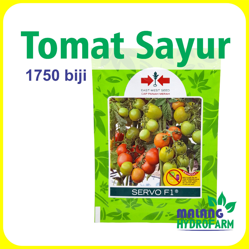 Jual Benih Tomat Sayur Servo F1 1750 biji Cap Panah Merah dataran ...