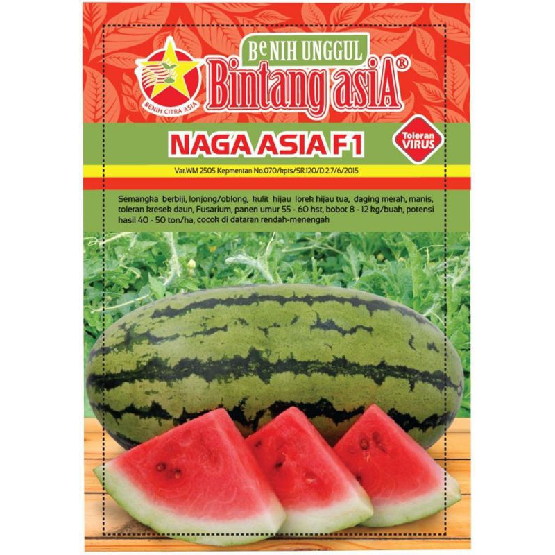Jual Benih - Bibit Semangka berbiji lonjong/oblong daging merah isi 2 ...