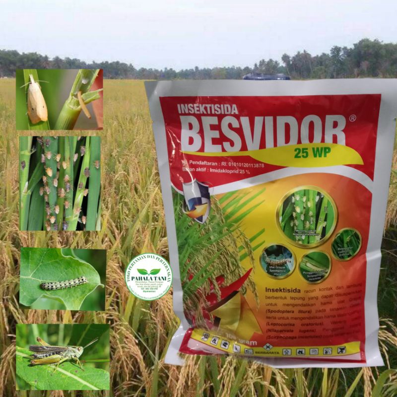 Jual BESVIDOR/obat ulat/ obat walangsangit/obat wereng/hama ulat grayak ...