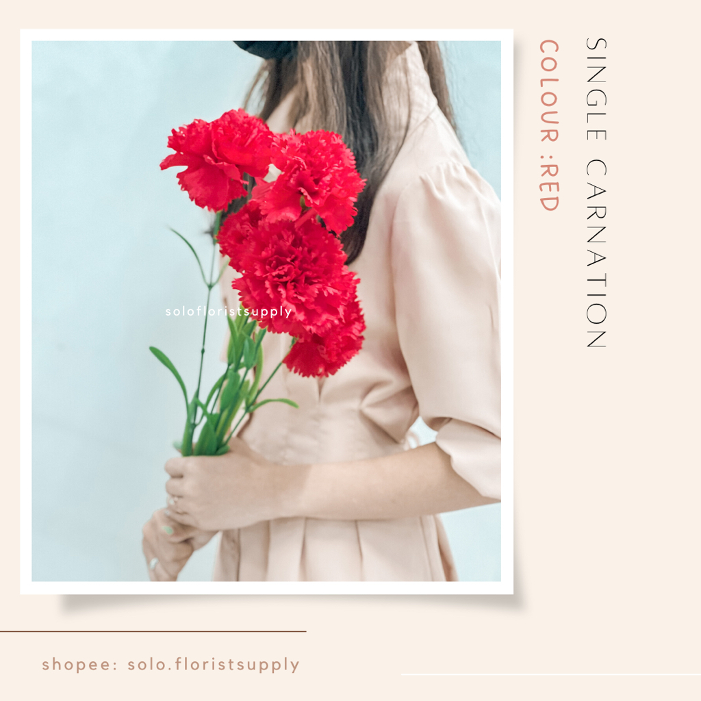Jual SINGLE CARNATION BOUQUET X6 ARTIFICIAL FLOWER BUNGA PALSU BUNGA ...