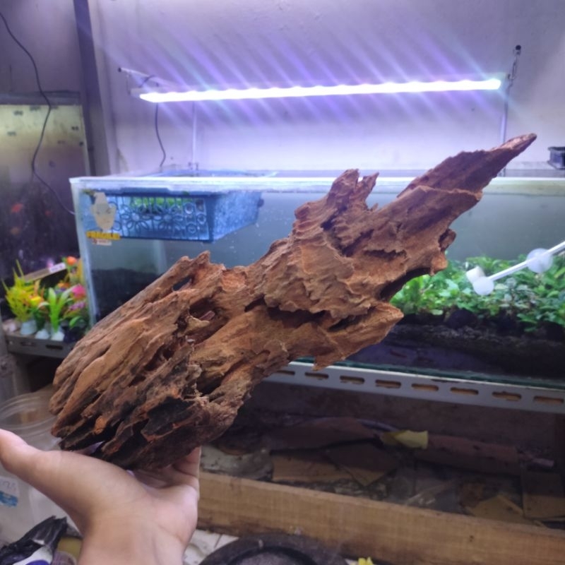 Jual kayu rentek gunung kayu aquascape akuarium BN107 | Shopee Indonesia