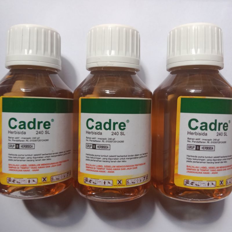 Jual Herbisida Selektif CADRE 240 SL Untuk Tanaman Kacang Tanah Dan ...