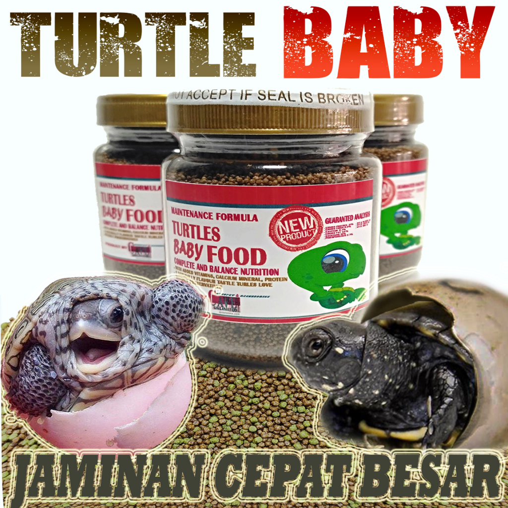 Jual MAKANAN PAKAN PELET PELLET ANAK BAYI KURA KURA AIR BABY TURTLE ...