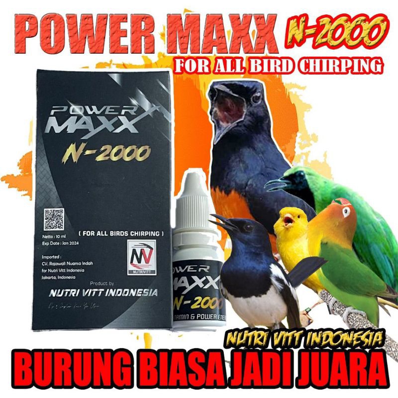 Jual Power Maxx N2000 Suplemen Vitamin Multivitamin Penggacor Nutrisi ...
