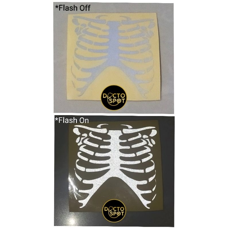 Jual Sticker Costae Thorax Bone Regio Thoracal Thoracic untuk Mahasiswa ...