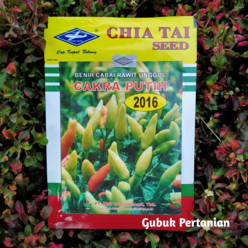 Jual Benih Cabe Rawit Unggul Cakra Putih/Cabai Kecil Cap Kapal Terbang ...