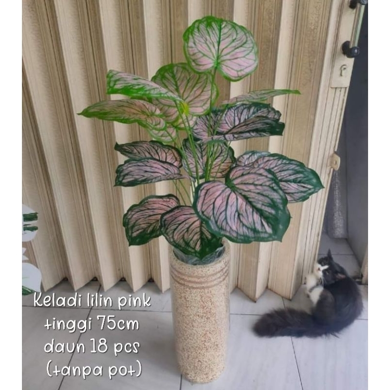 Jual Monstera Besar / Keladi Artificial ( POT DIJUAL TERPISAH ...