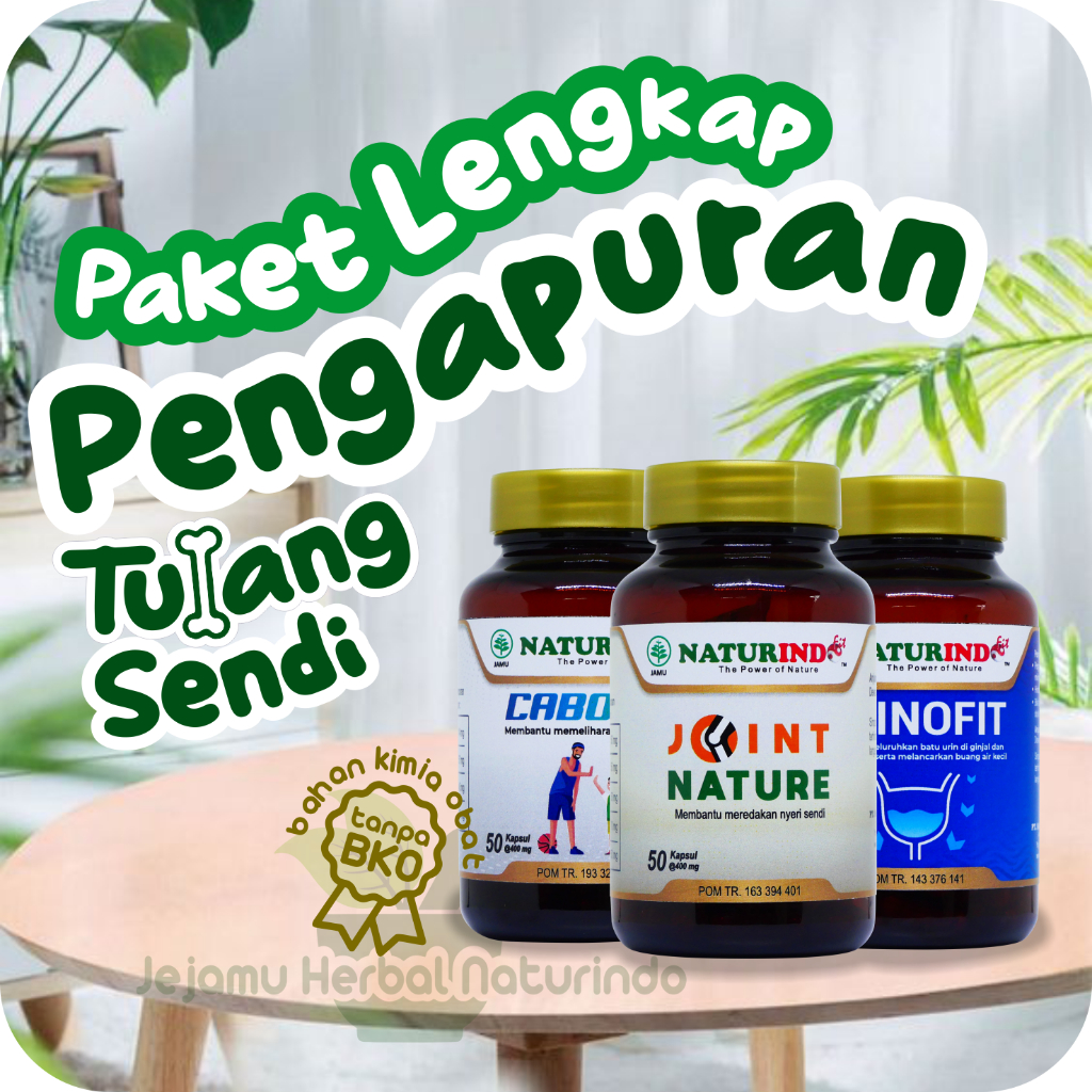 Jual Obat Herbal Pengapuran Tulang Dan Sendi Osteoarthritis ...