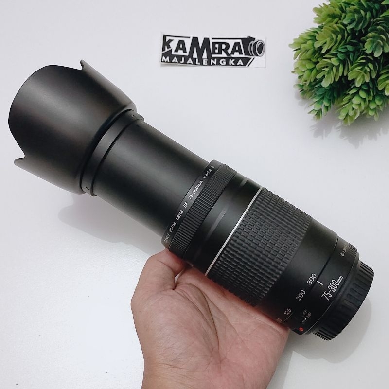 Jual LENSA TELE CANON 75-300 MULUS 75 300 MM BUKAN 55-250 | Shopee ...