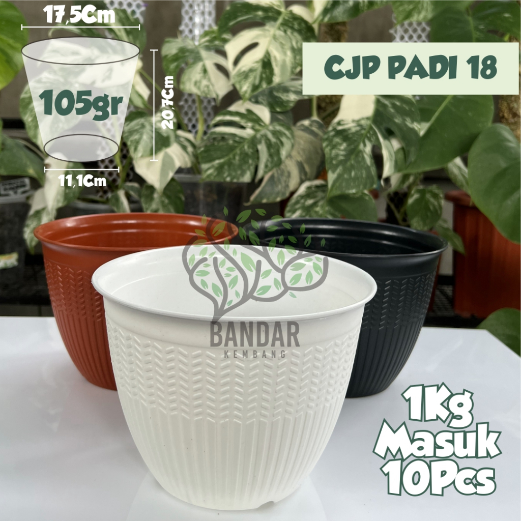 Jual Pot Kecil CJP Padi 18 Warna Hitam Merah Putih Tanaman Bunga Hias ...