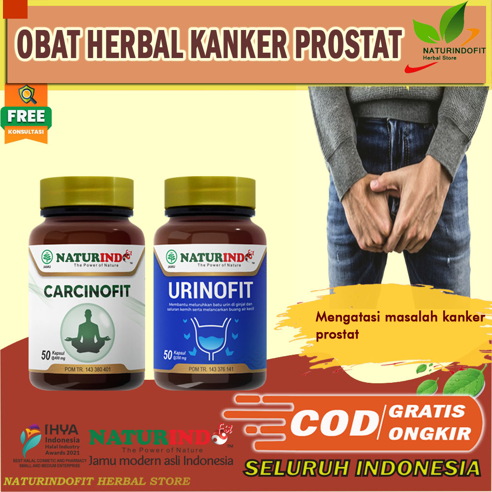 Jual OBAT HERBAL KANKER PROSTAT OBAT HERBAL UNTUK GANGGUAN PROSTAT ...